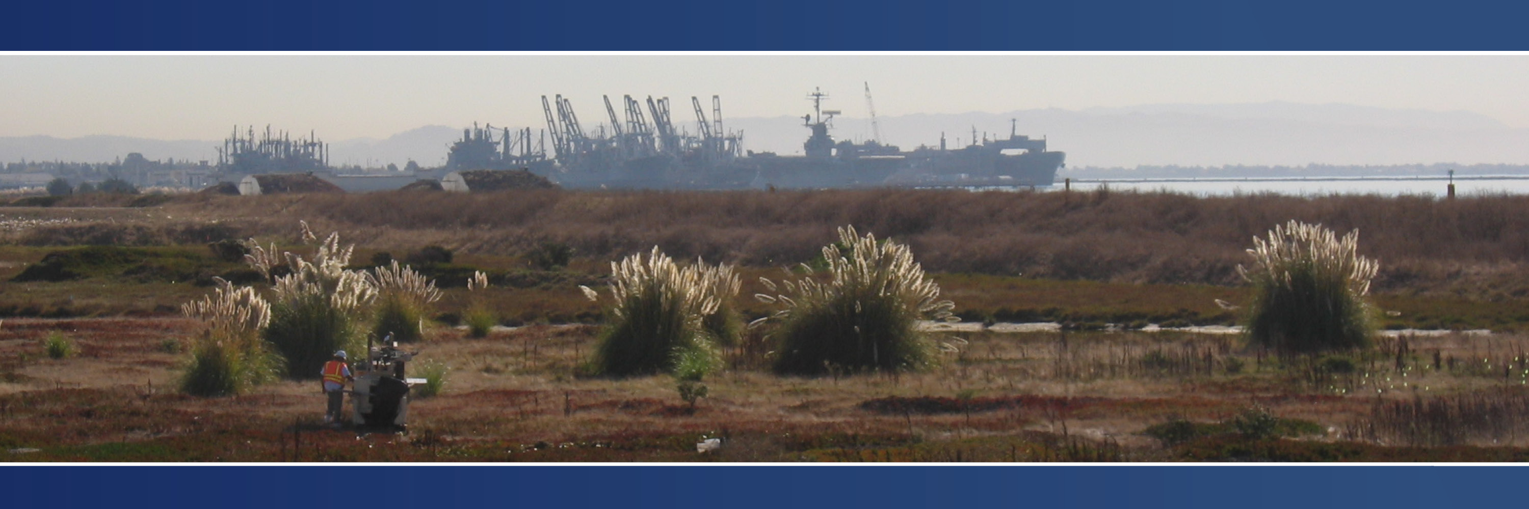 CERCLA Phases and Milestones